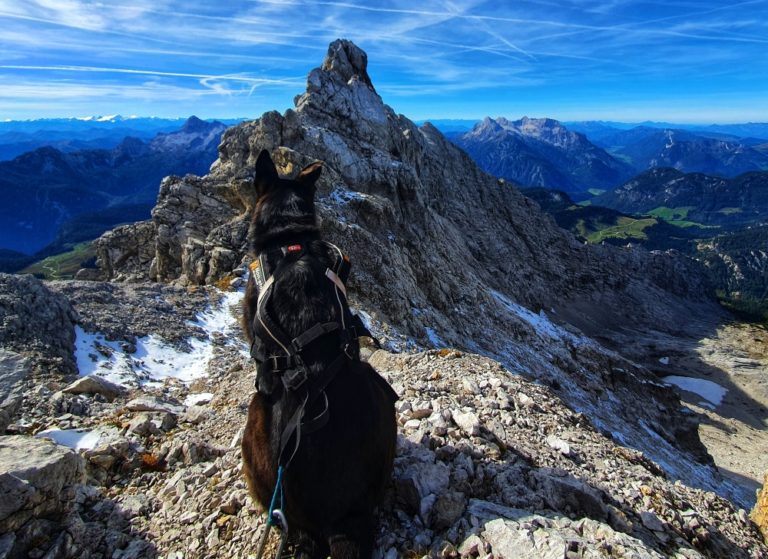 Bergtour mit Hund - Hocheisspitze in den Berchtesgadener Alpen